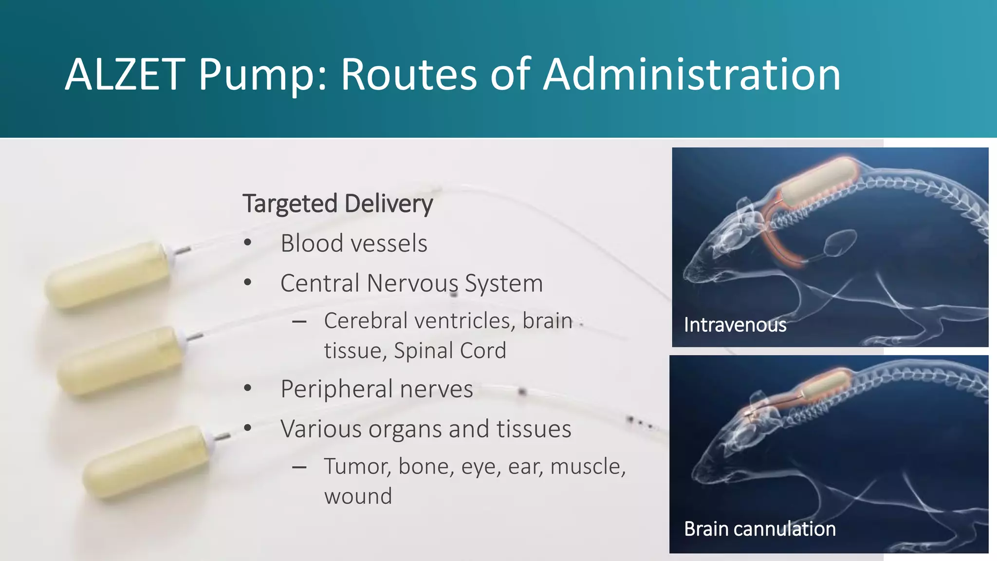 Implantable Infusion Pumps: Insights For Your Next Animal Dosing Study ...