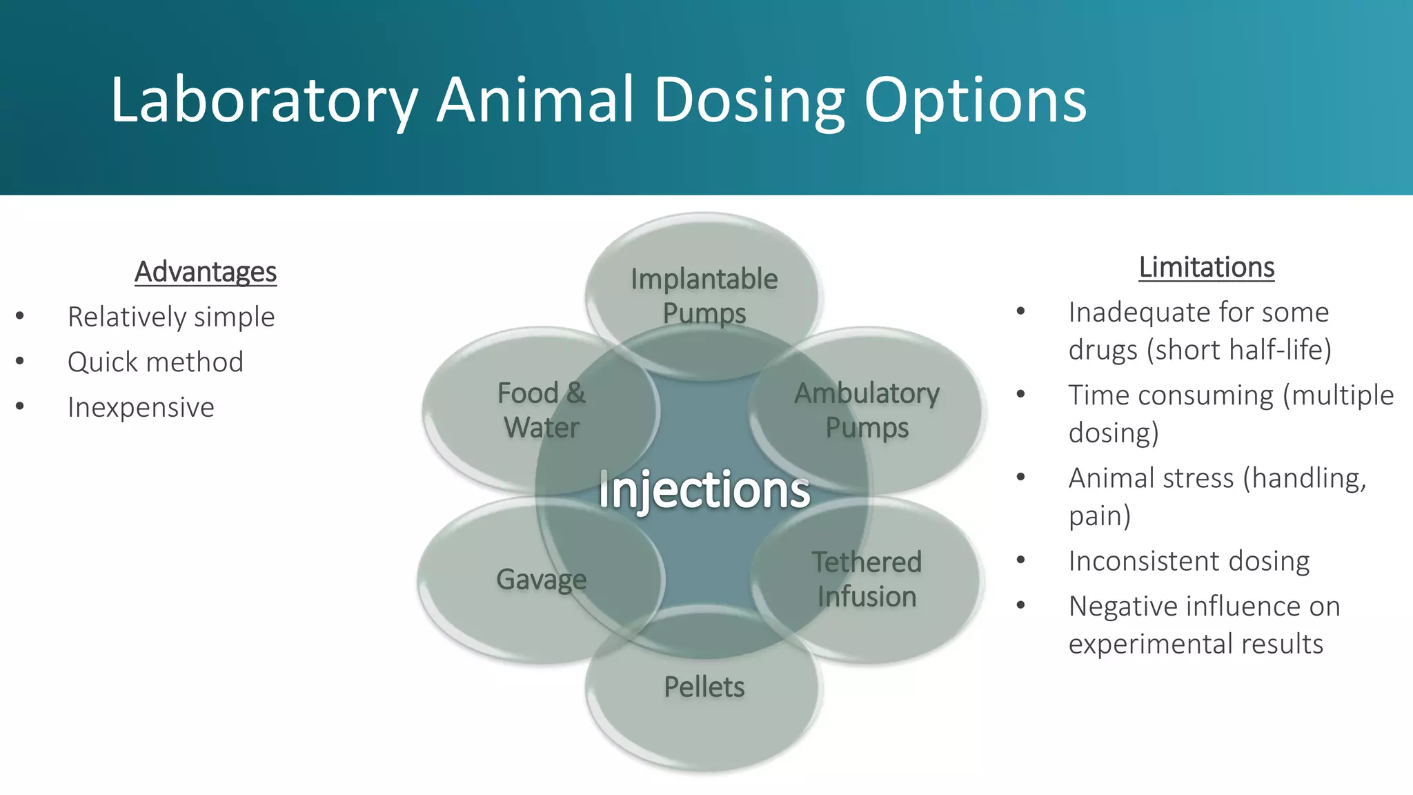 Implantable Infusion Pumps: Insights For Your Next Animal Dosing Study ...