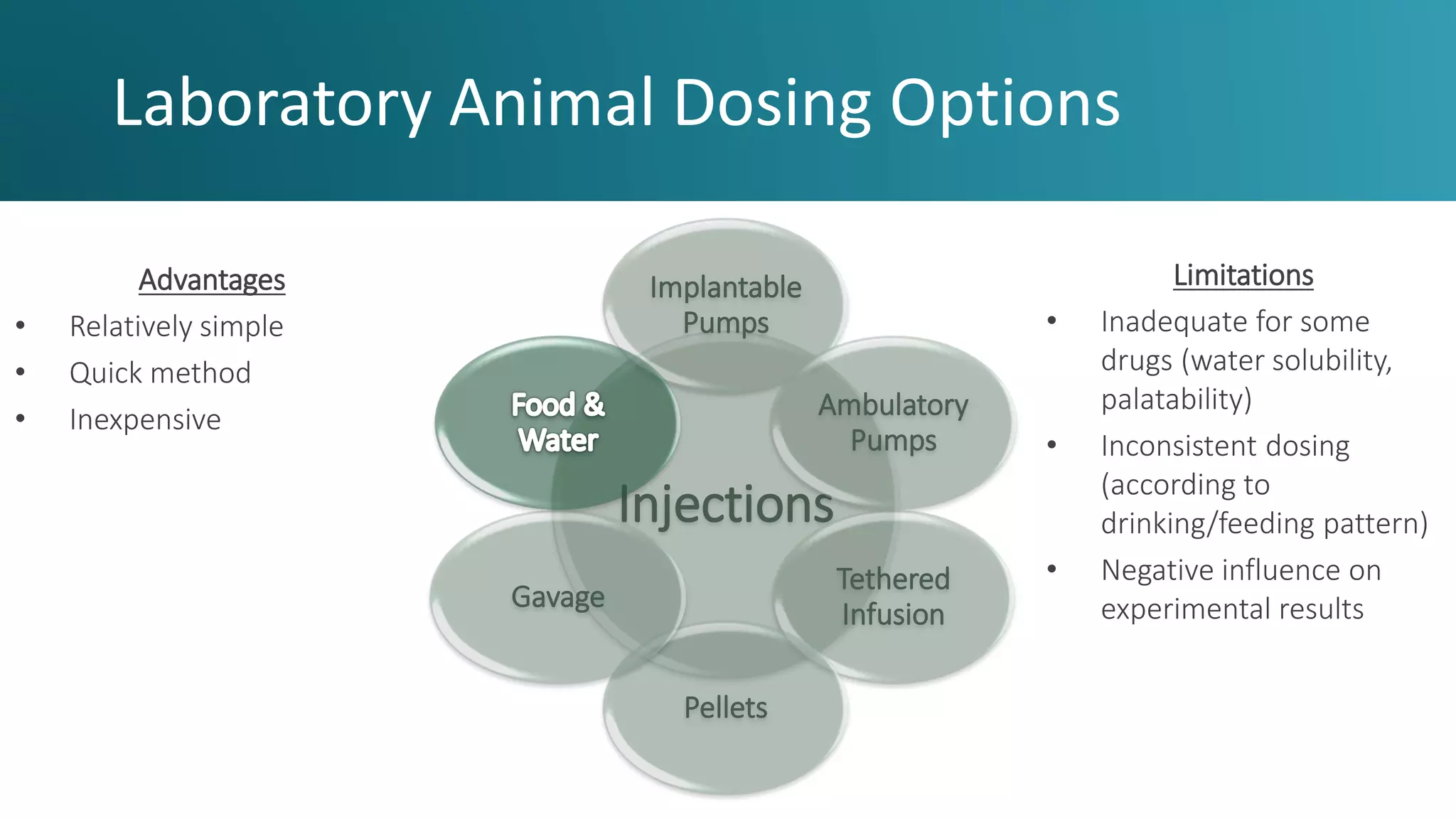 Implantable Infusion Pumps: Insights For Your Next Animal Dosing Study ...