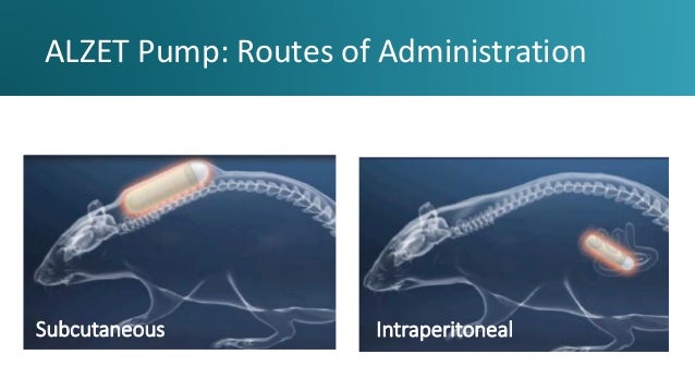 Implantable Infusion Pumps: Insights For Your Next Animal Dosing Study