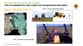 Implantacao_Marcos Wichert_Stora Enso_v2_EN.pdf