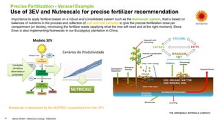 Implantacao_Marcos Wichert_Stora Enso_v2_EN.pdf