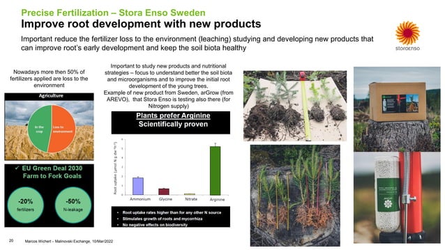 Implantacao_Marcos Wichert_Stora Enso_v2_EN.pdf