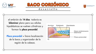 Implantacion. biología del desarrollo.pdf