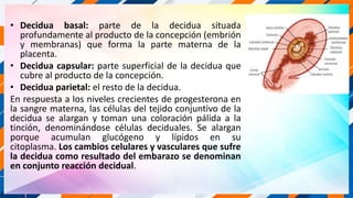 enfermeria IMPLANTACION DE LA PLACENTA.pptx