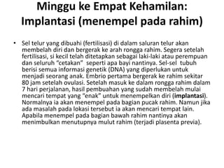 Implantasi | PPTX