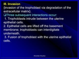 Implantation | PDF