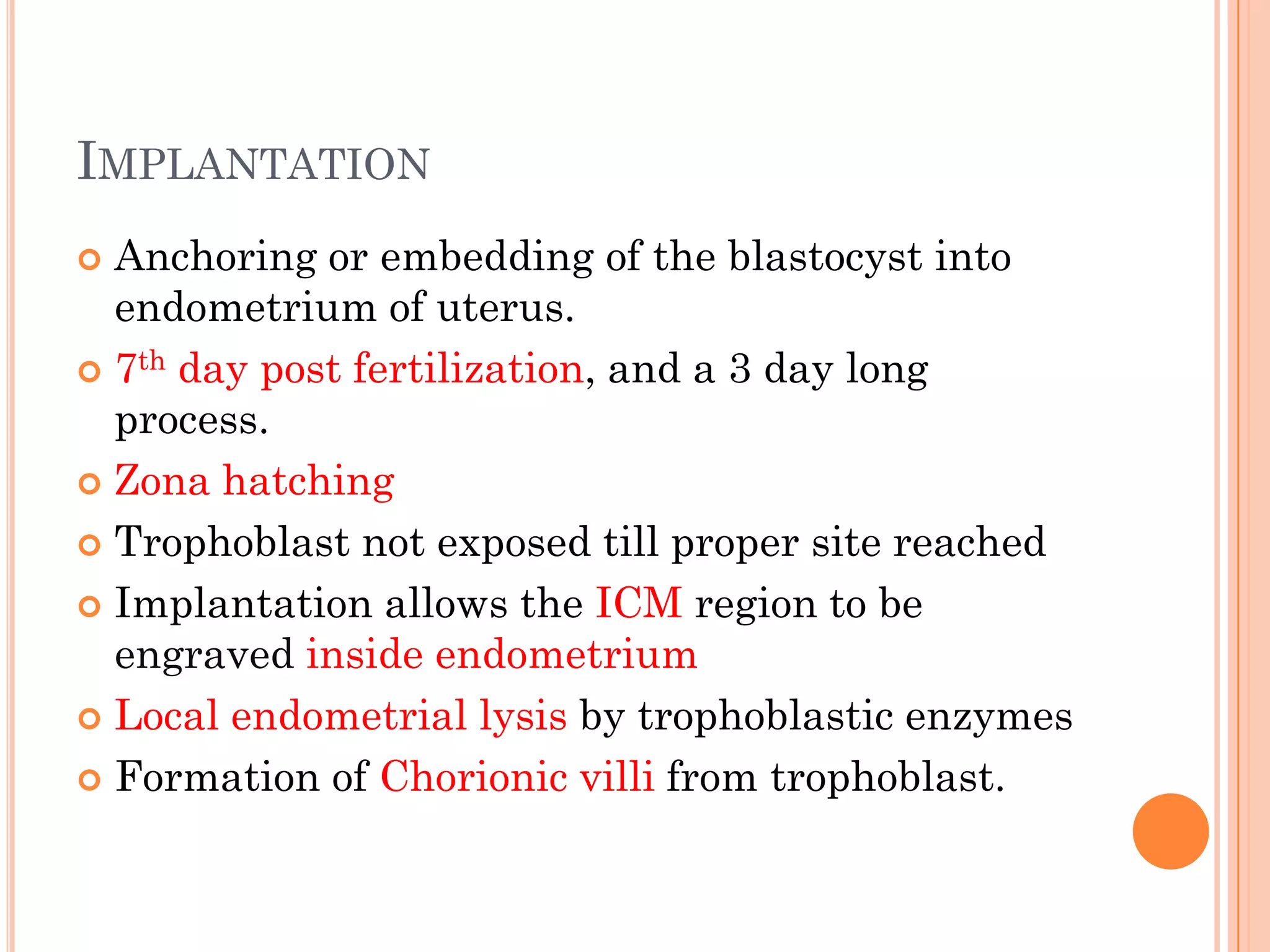 Implantation and placentation , and overview | PDF