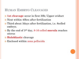 Implantation and placentation , and overview | PDF