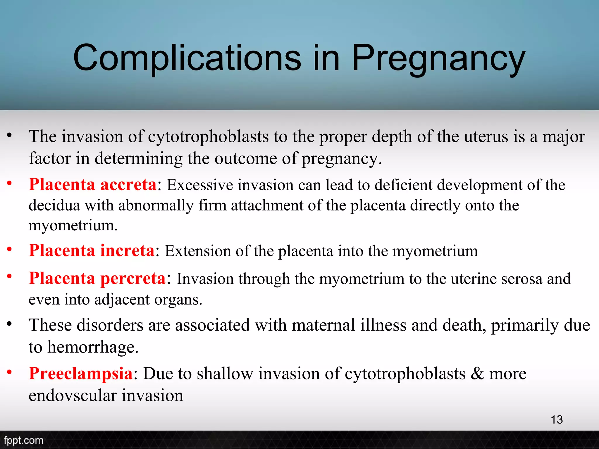 Implantation | PPT