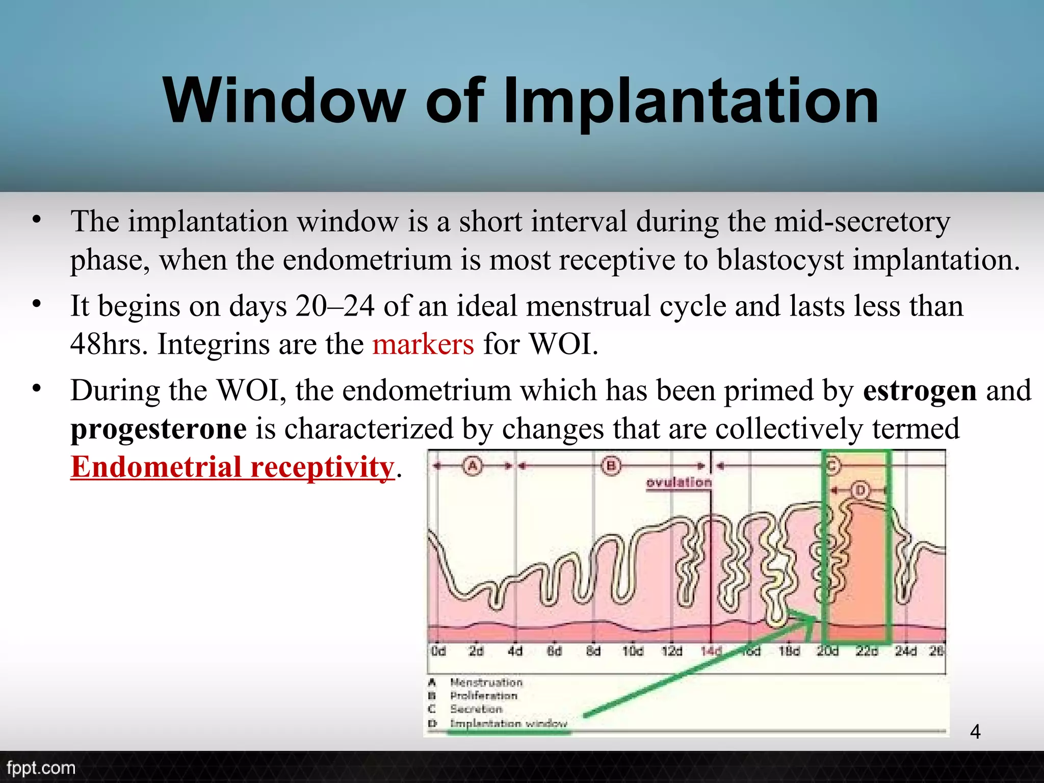 Implantation | PPT