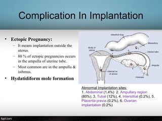 Implantation | PPT