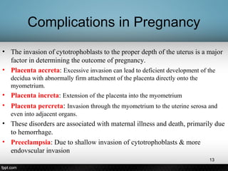 Implantation | PPT