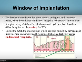 Implantation | PPT