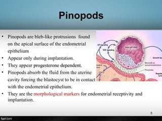 Implantation | PPT