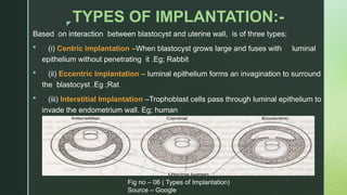 IMPLANTATION....pptx Fertilization & Implantation | PPTX