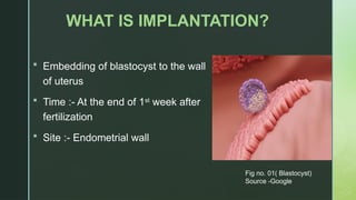 IMPLANTATION....pptx Fertilization & Implantation | PPTX