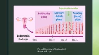IMPLANTATION....pptx Fertilization & Implantation | PPT