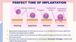 ANATOMY AND PHYSIOLOGY OF IMPLANTATion.pptx