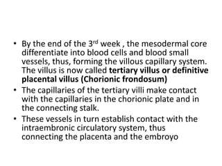 Implantation and placenta formation | PPTX