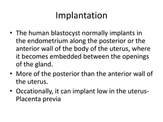 Implantation and placenta formation | PPTX