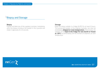 Implantation receptivity window | PDF