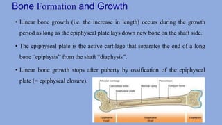 Implant Bone Physiology.pptx