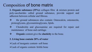 Implant Bone Physiology.pptx