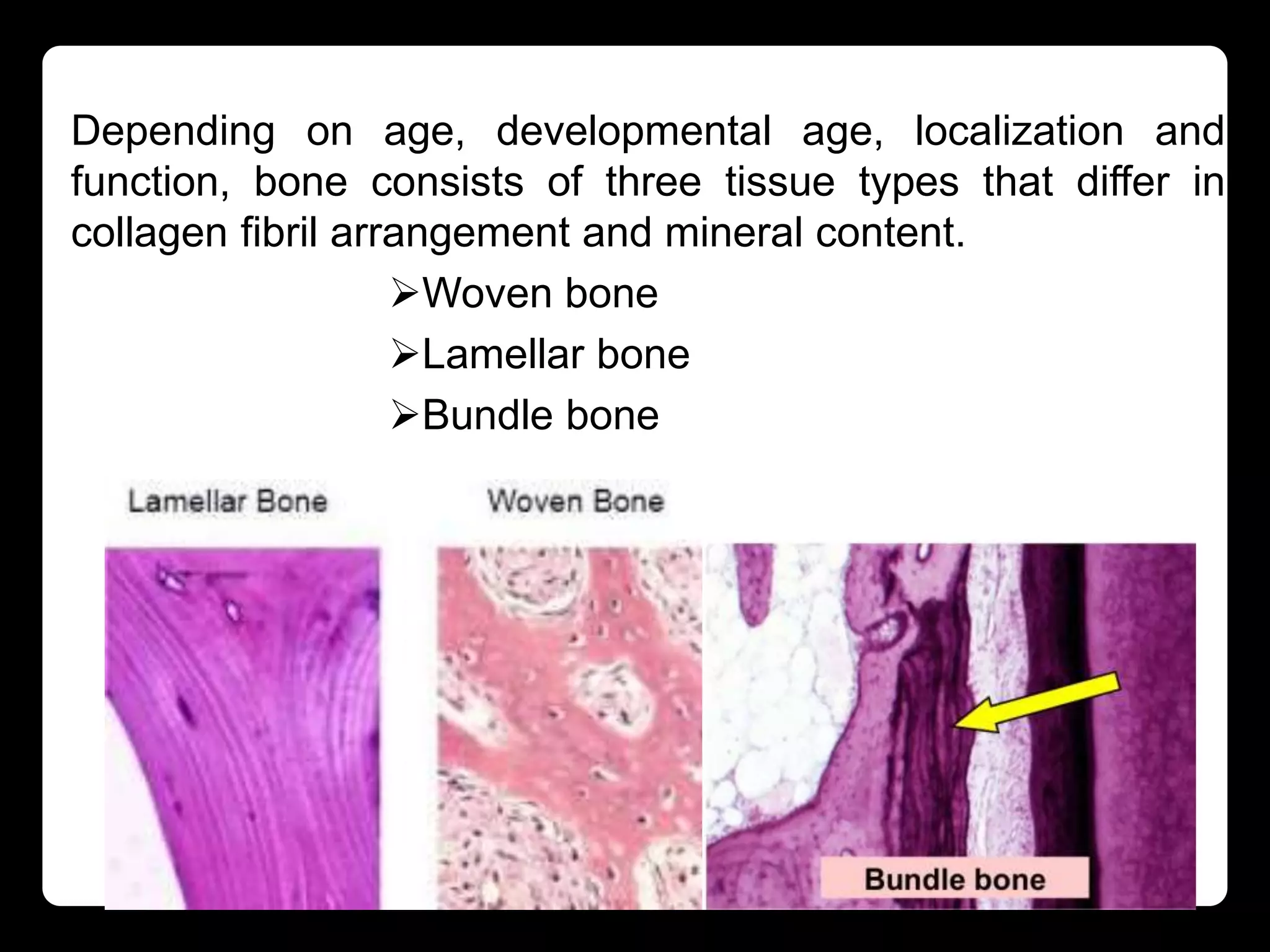 Implant quality scale ; osseointegration, success criteria and basic ...