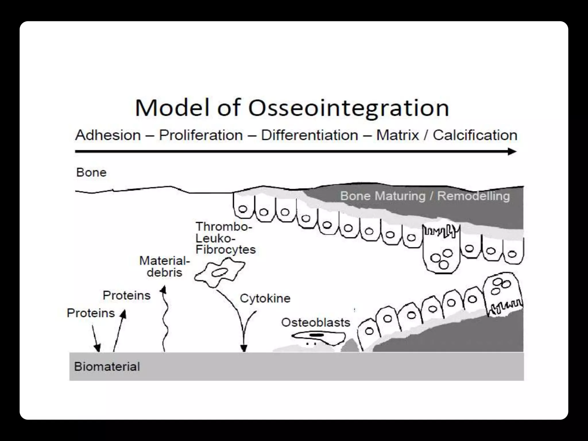 Implant quality scale ; osseointegration, success criteria and basic ...