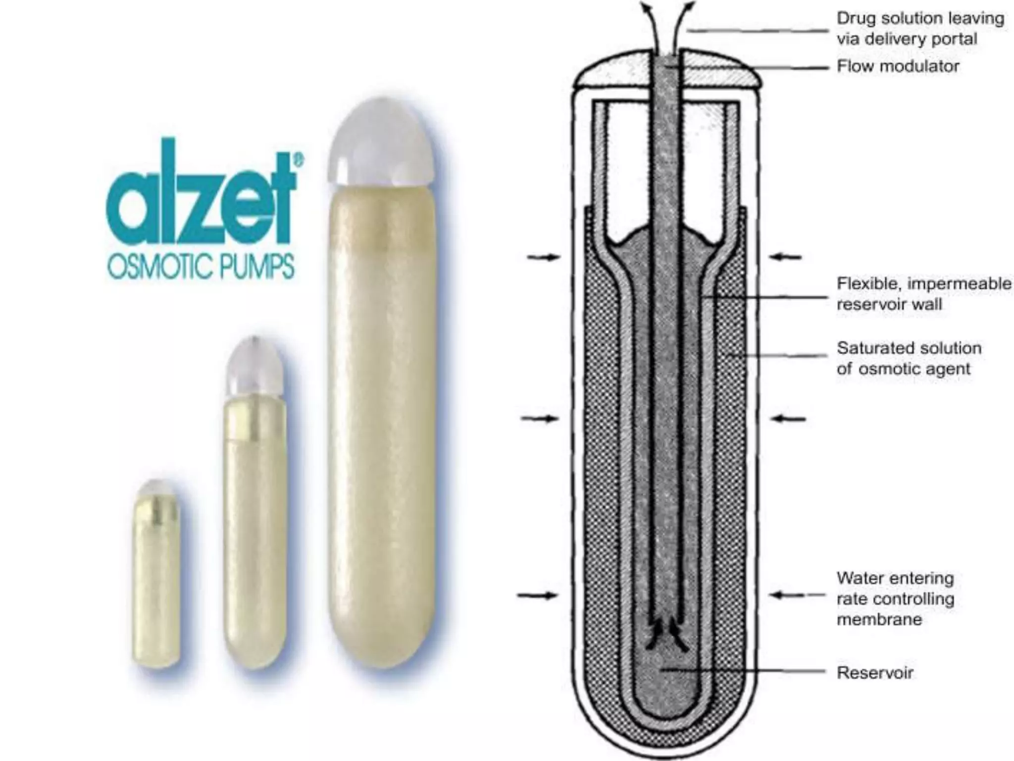 Implants & inserts ppt | PPTX