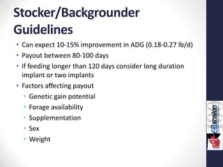 Implants Considerations for Beef Production | PPTX