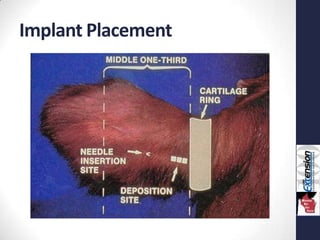 Implants Considerations for Beef Production | PPTX