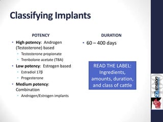 Implants Considerations for Beef Production | PPTX