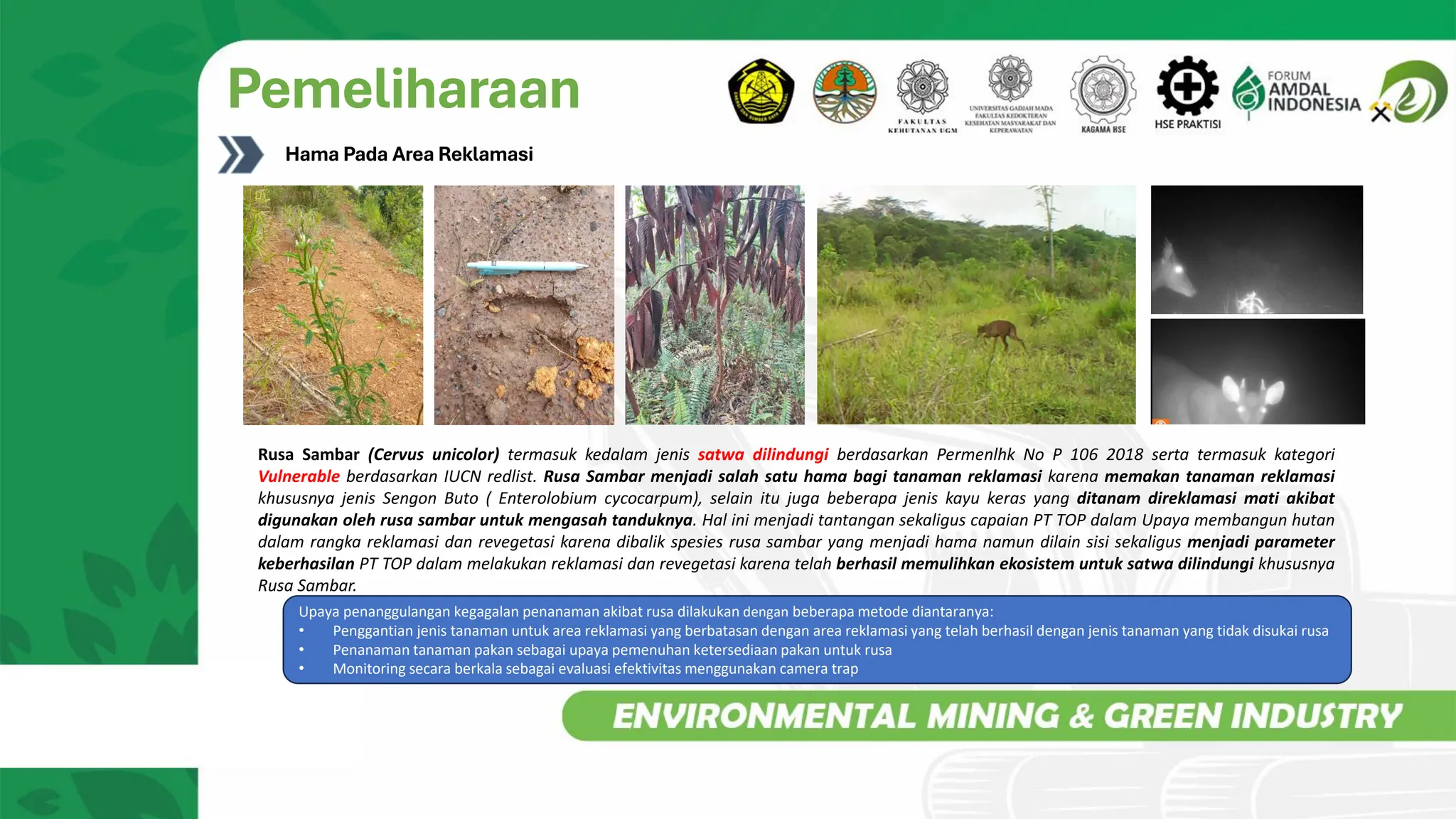 Implementasi PPKH dan Reklamasi Tambang.pdf