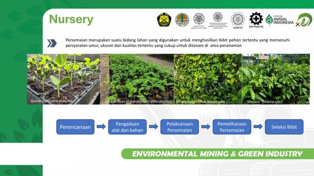 Implementasi PPKH dan Reklamasi Tambang.pdf