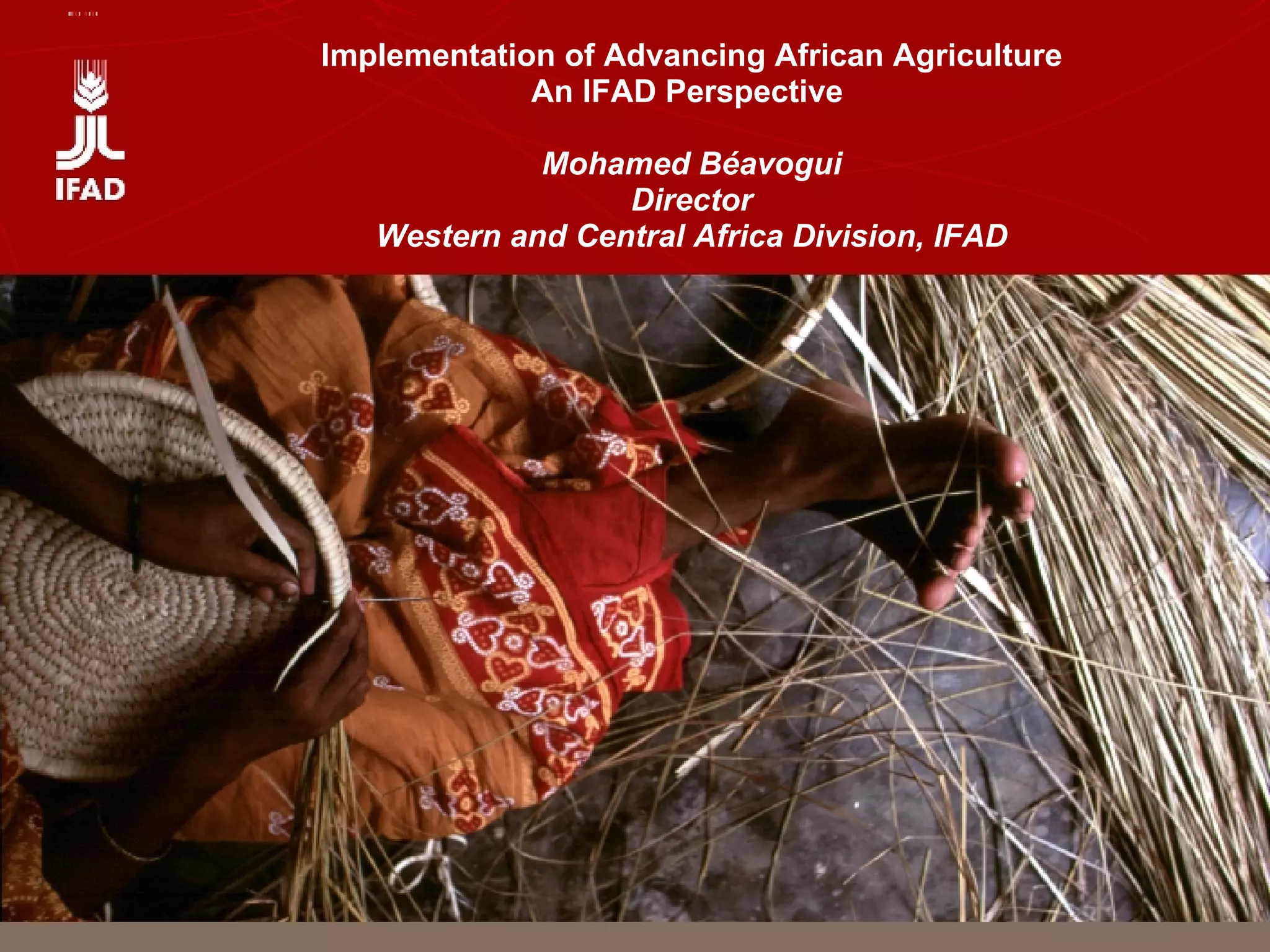 Implementation of Advancing African Agriculture: An IFAD Perspective | PPS