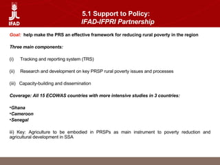 Implementation of Advancing African Agriculture: An IFAD Perspective | PPS