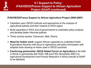 Implementation of Advancing African Agriculture: An IFAD Perspective | PPS