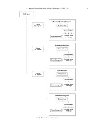 Implementation and performance of a matrix organization structure | PDF