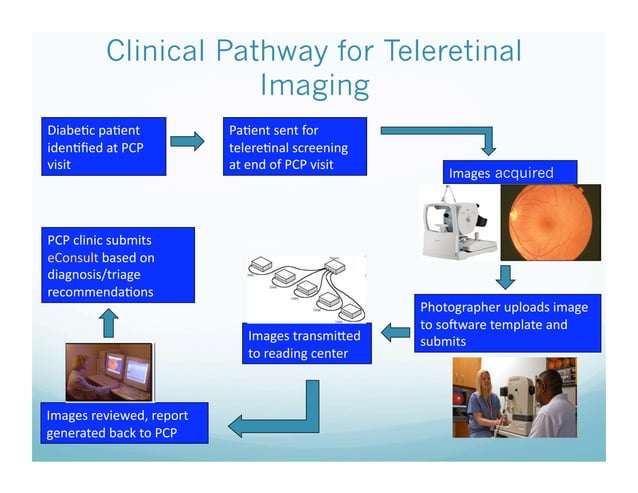Primary care-based, teleretinal-screening protocol (Los Angeles Safety ...