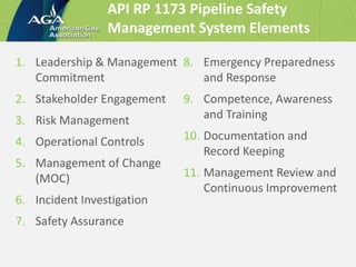 implementation_of_a_risk-based_process_safety_management_system ...