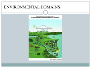 Implementation of ems in teri university | PPT