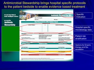 Implementing AMS | PDF