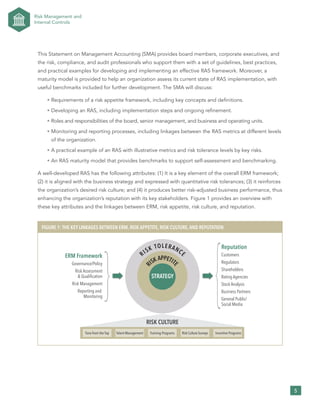 Implementing an Effective Risk Management Appetite.pdf