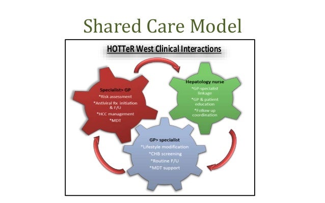 Implementing a shared care model to prevent liver cancer and improve