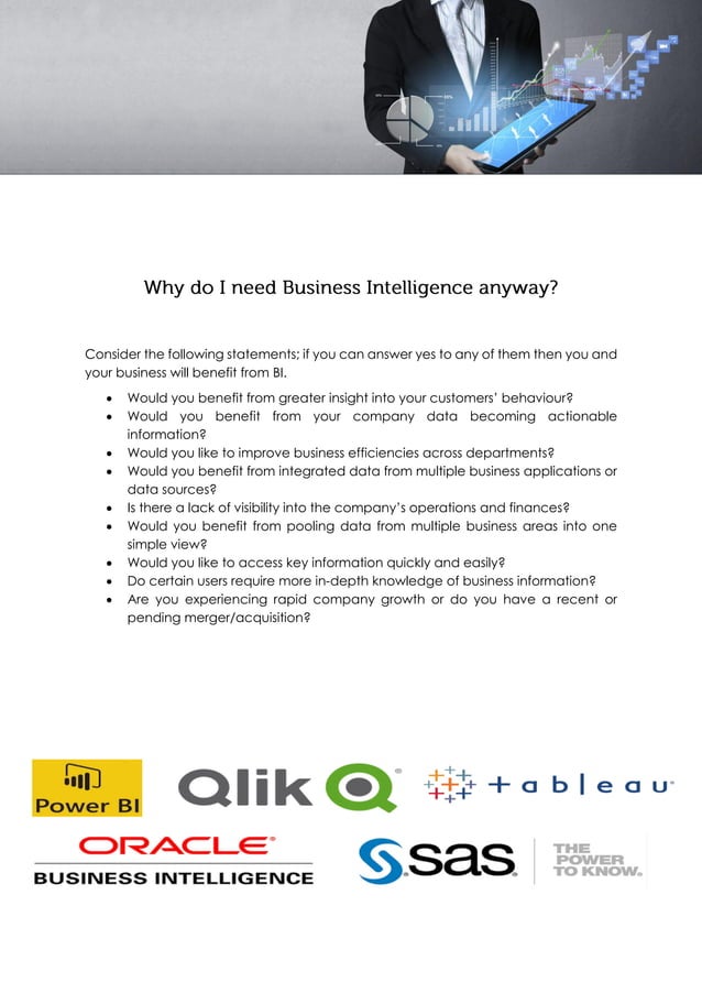 Implementing business intelligence | PDF