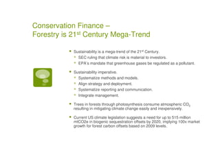 Implementing Finance Insurance Standards Us Forest Market | PDF