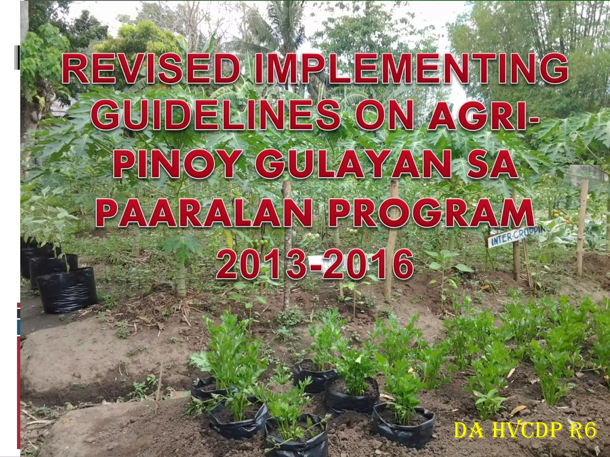 Implementing guidelines gsp revised | PPT