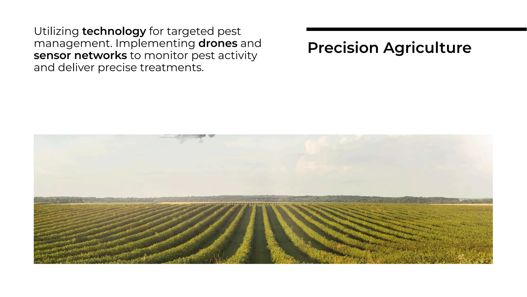 Implementing Integrated Pest Management Strategies for Sustainable Agriculture in 2024.pdf ...